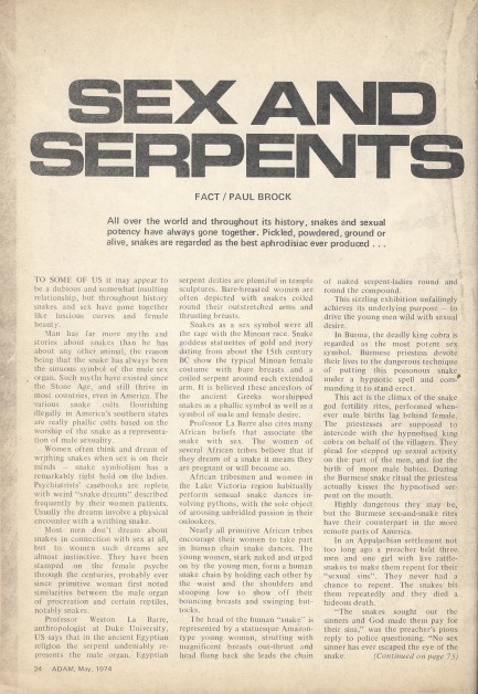 Pulp International : vintage and modern pulp fiction; noir, schlock and ...